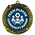 Team Player Community Award Star Design Medal | Volunteer and Community ...