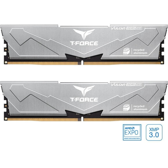 T Force Ram