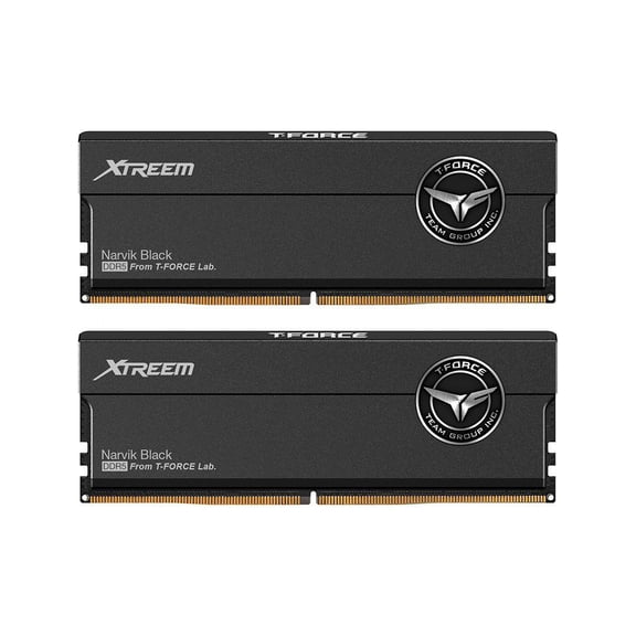 T Force Ram