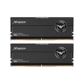 T Force Ram