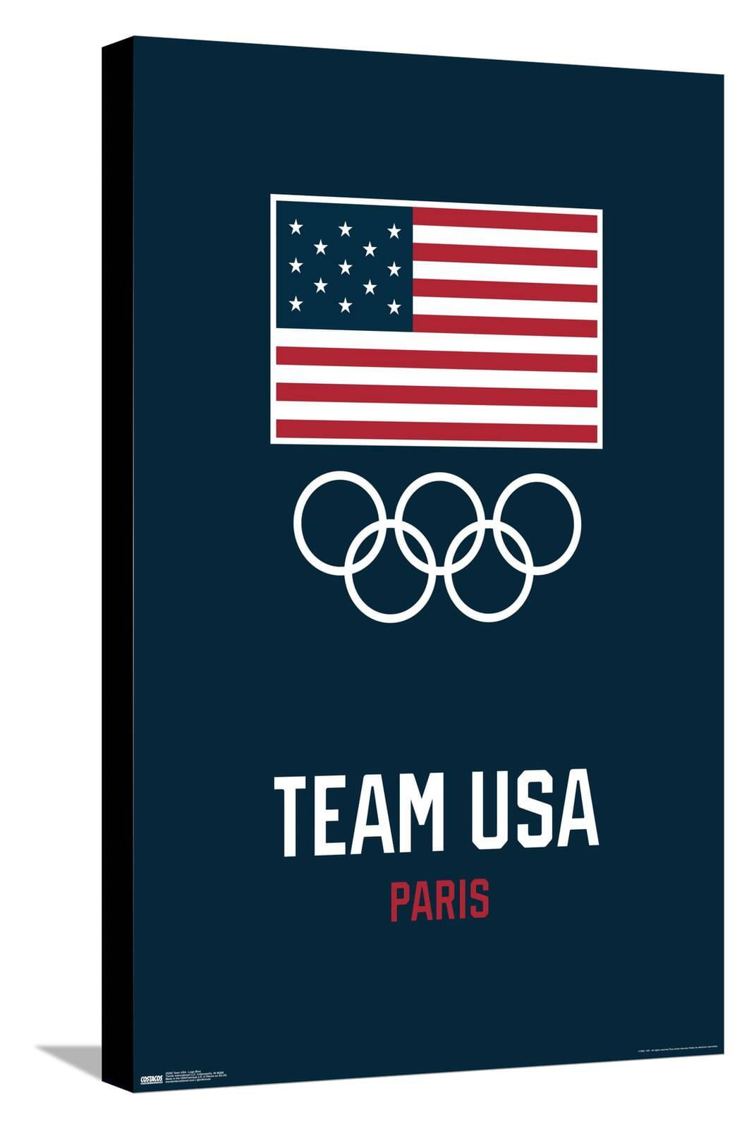 Team USA - Logo Blue Canvas Wall Poster, 14.725" x 22.375" - Walmart.com