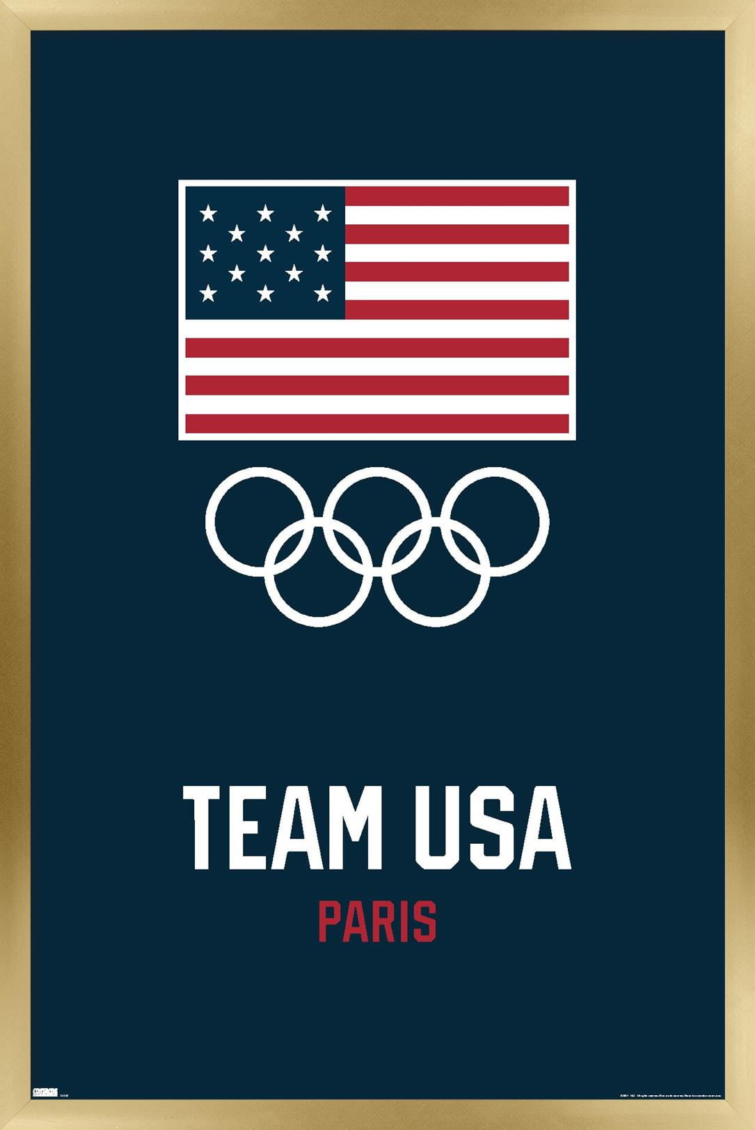 Team USA - Logo Blue Wall Poster, 14.725" x 22.375" Framed - Walmart.com