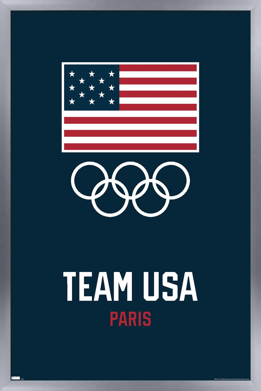 Team USA - Logo Blue Wall Poster, 22.375" x 34" Framed - Walmart.com