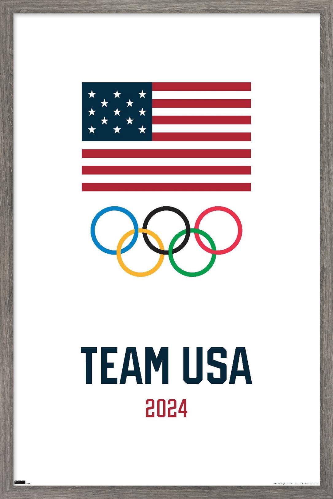 Team USA - Logo Wall Poster, 14.725" x 22.375" Framed - Walmart.com