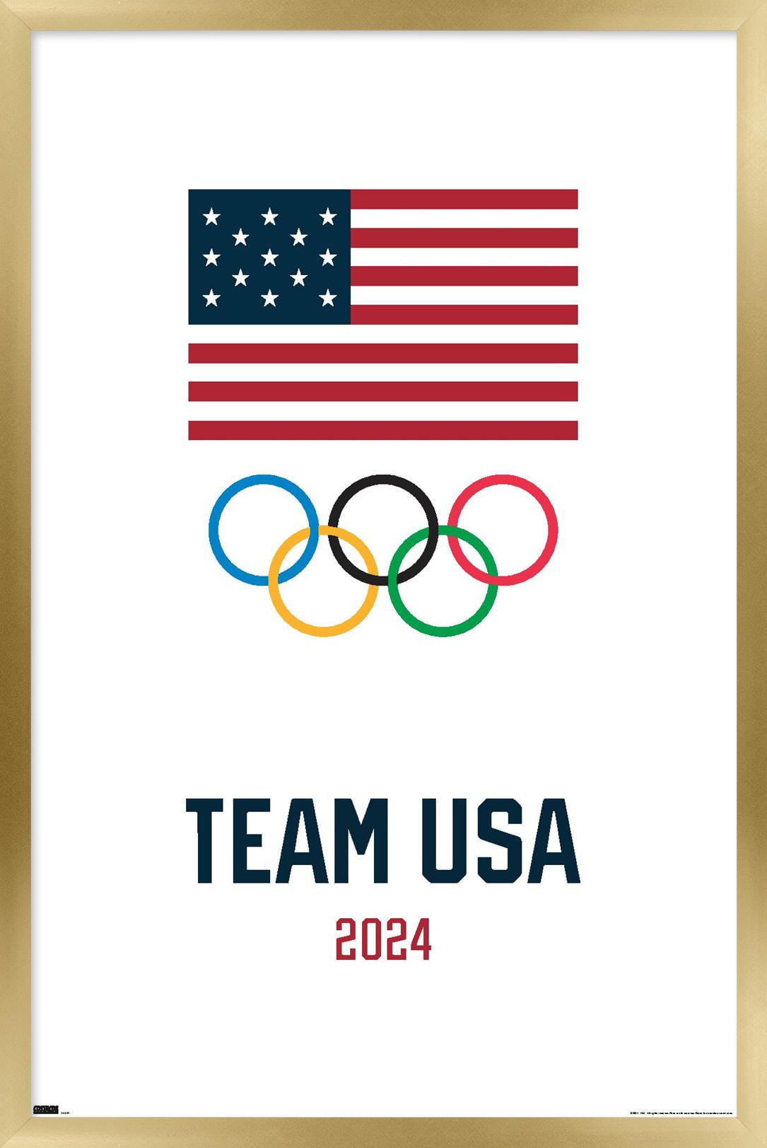 Team USA - Logo Wall Poster, 14.725" x 22.375" Framed - Walmart.com
