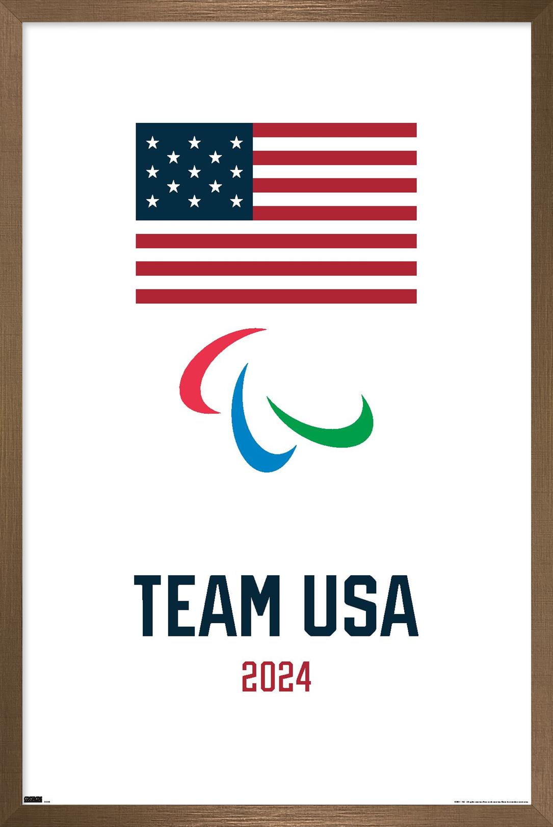 Team USA - Paralympic Logo Wall Poster, 22.375" x 34" Framed - Walmart.com