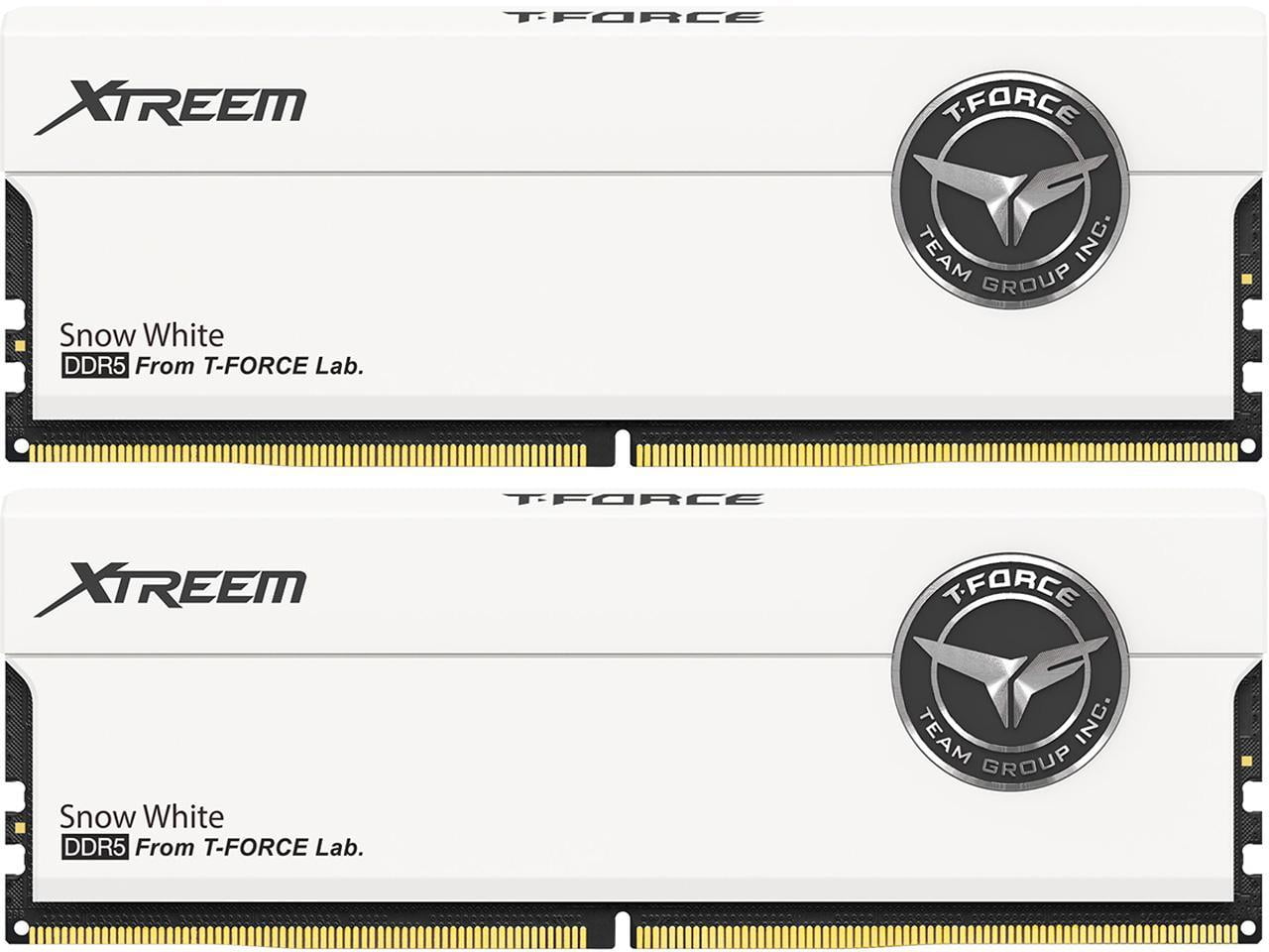 Team Xtreem 32GB (2 x 16GB) 288-Pin PC RAM DDR5 8000 (PC5 64000 ...