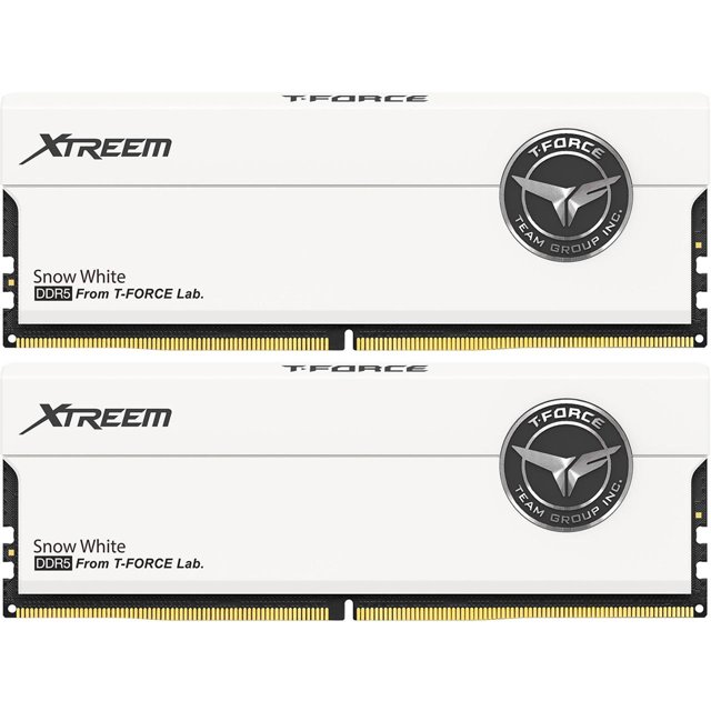 Team Xtreem 48GB (2 x 24GB) 288-Pin PC RAM DDR5 7200 (PC5 57600 ...
