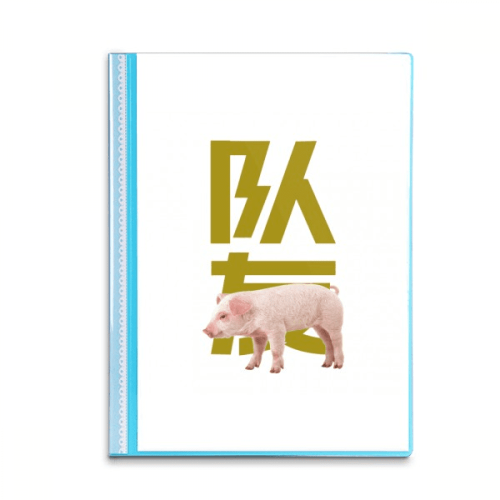 Teammates Influence Teamwork Book Sheet Protectors Portfolio Binder ...
