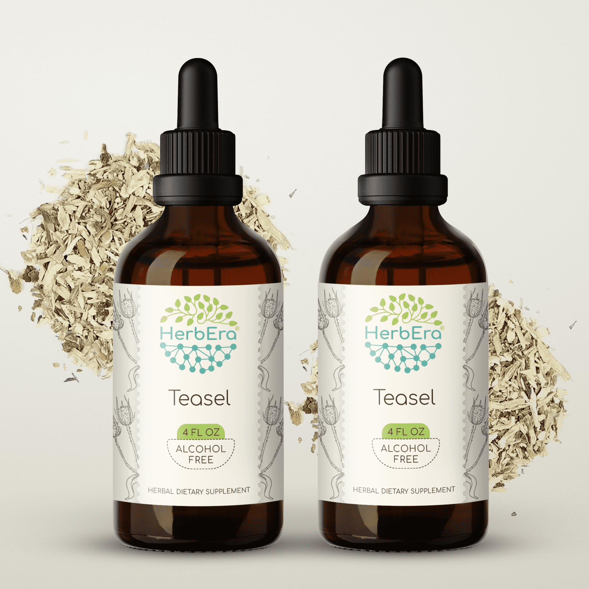 Teasel Alcohol-FREE Herbal Extract Tincture, Super-Concentrated Organic ...