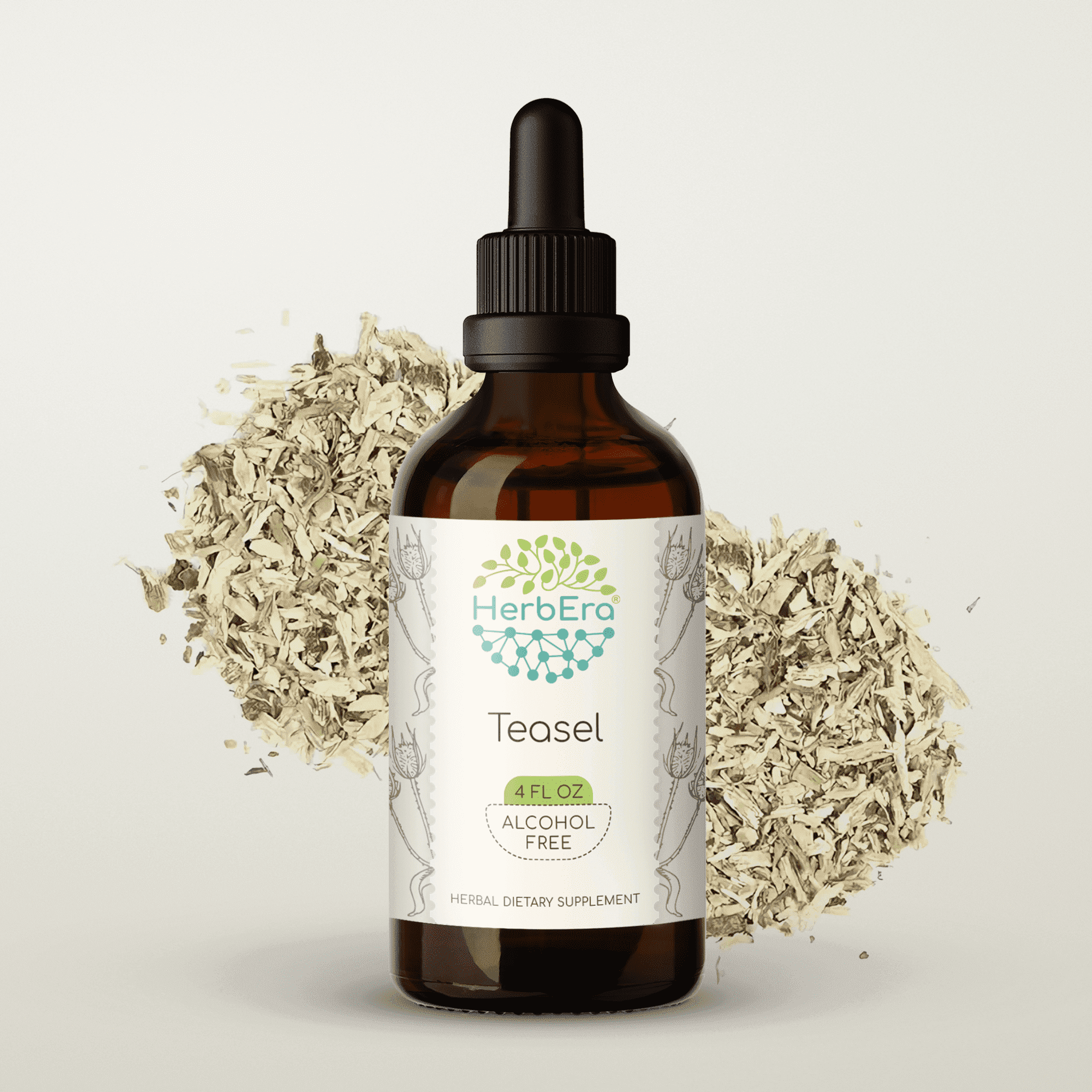 HerbEra Teasel Tincture, Herbal Dietary Supplement for Joint Support ...