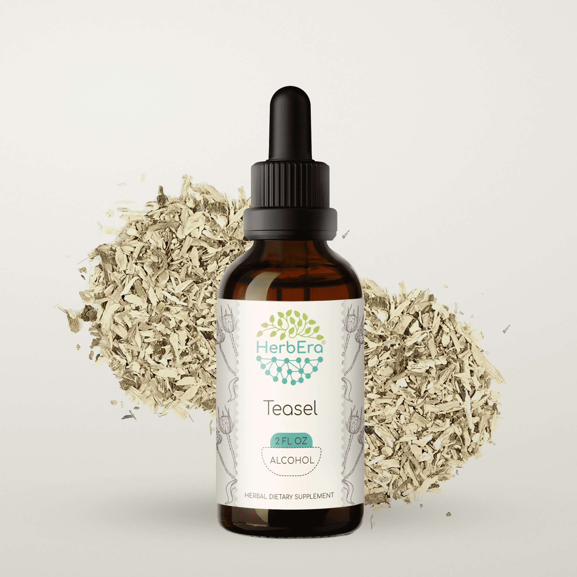 HerbEra Teasel Tincture, Herbal Dietary Supplement for Joint Support ...