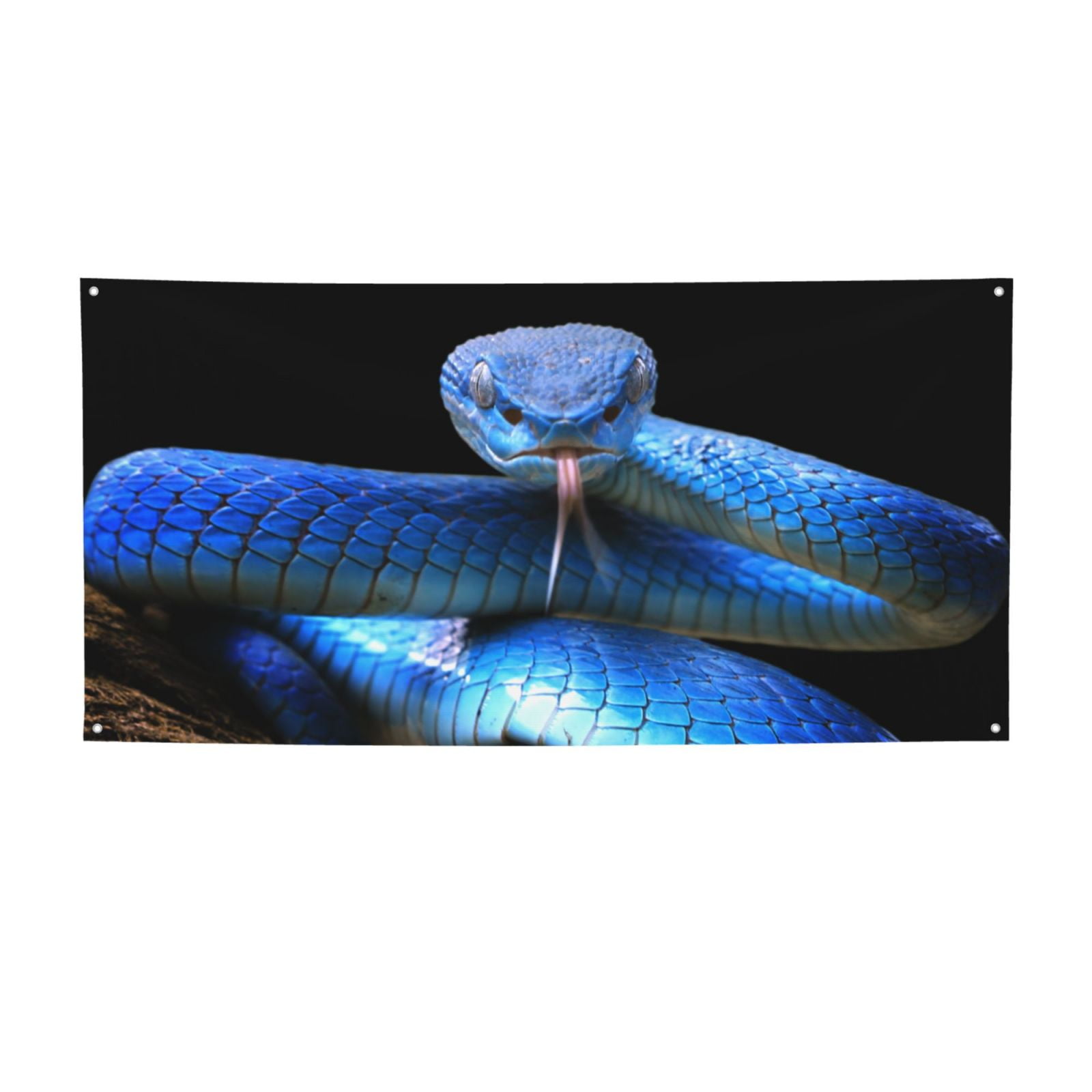 Tebeau Blue Viper Snake 2 Print Banner Backdrop Banner for Outdoor and ...