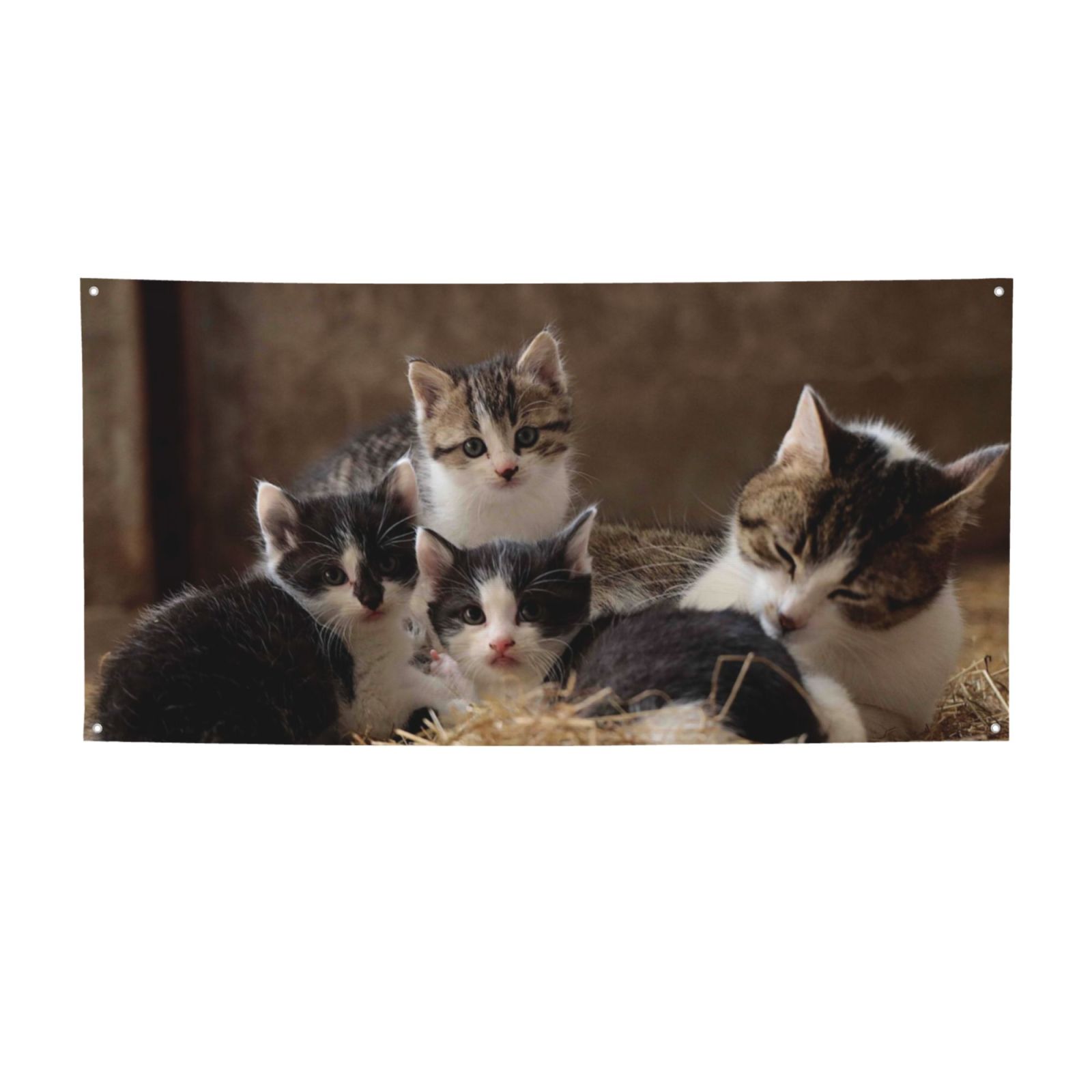 Tebeau Cat Family Print Banner Backdrop Banner for Outdoor and Indoor ...