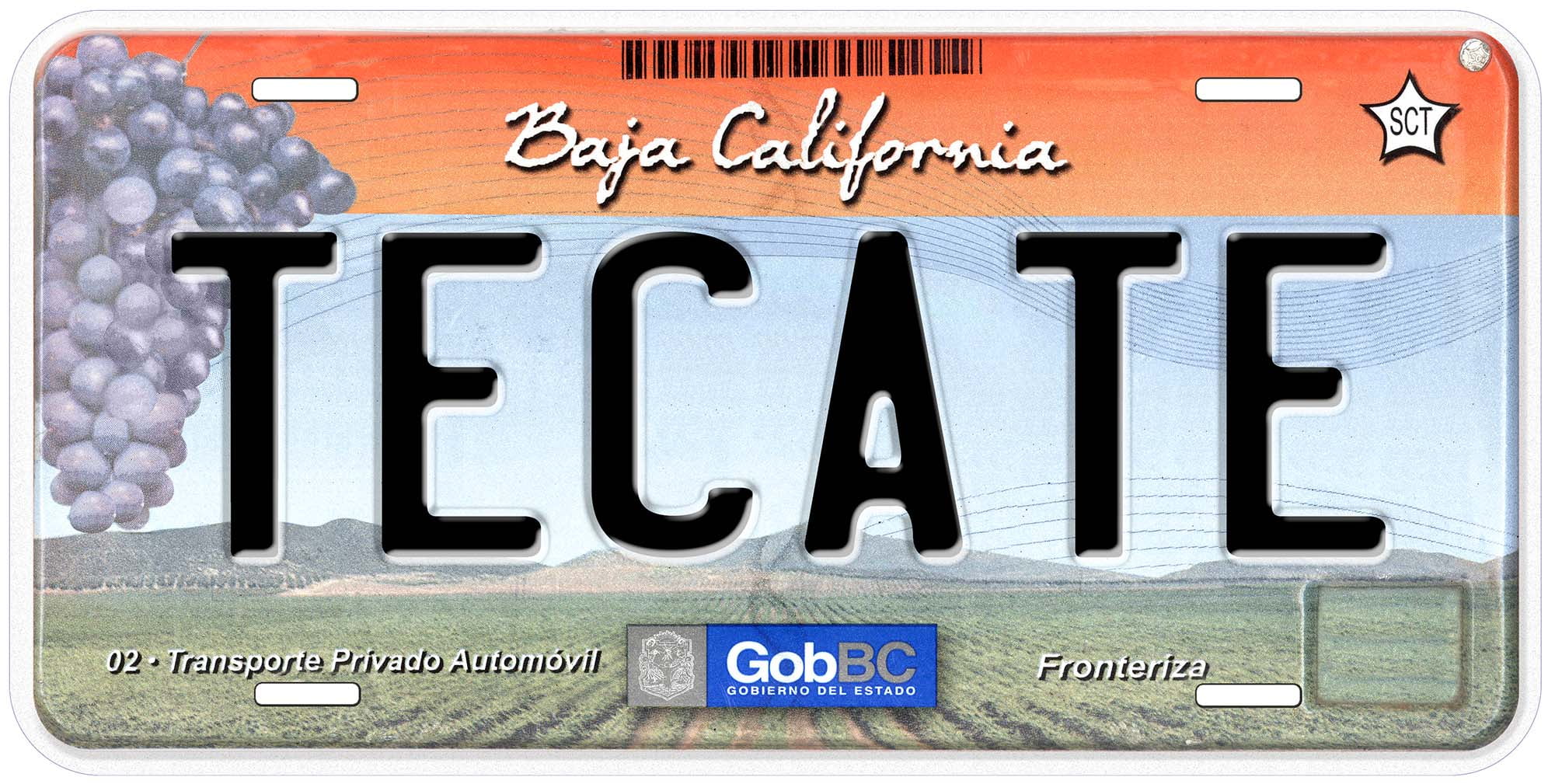 Tecate Baja California Mexico Novelty Car License Plate - Walmart.com