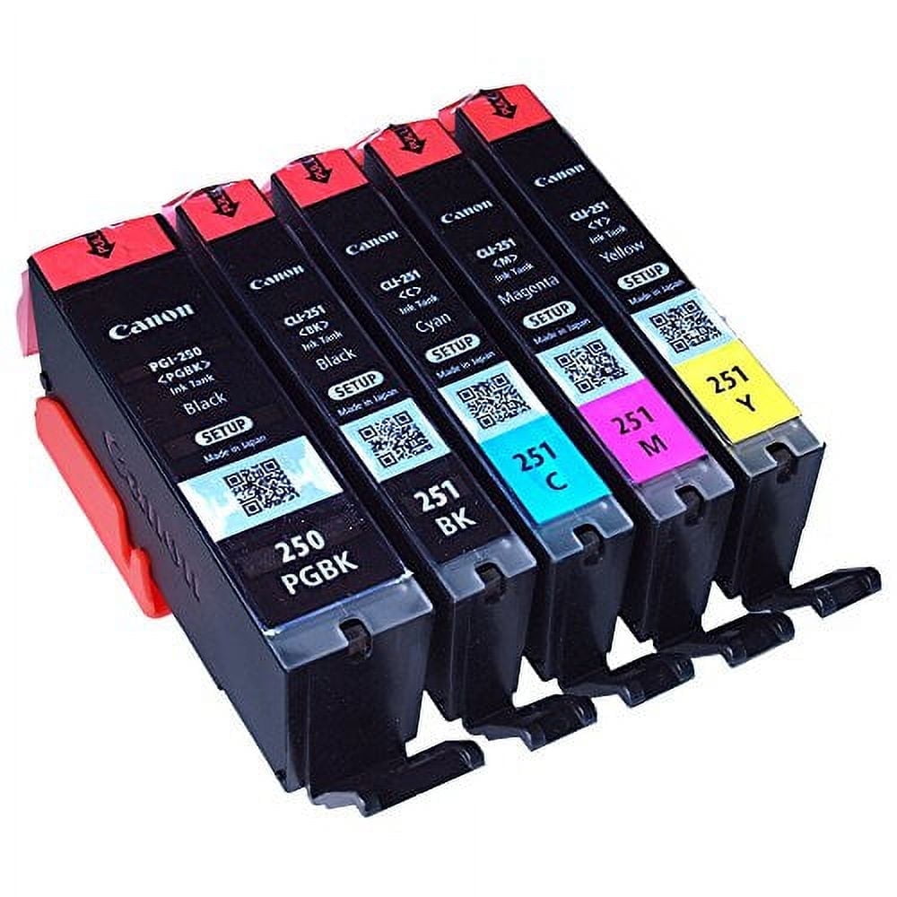 250 251 Black and Color Ink 5-Pack Cartridges Compatible with Canon ...