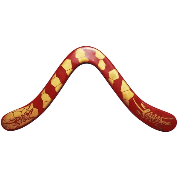 Boomerang Toy