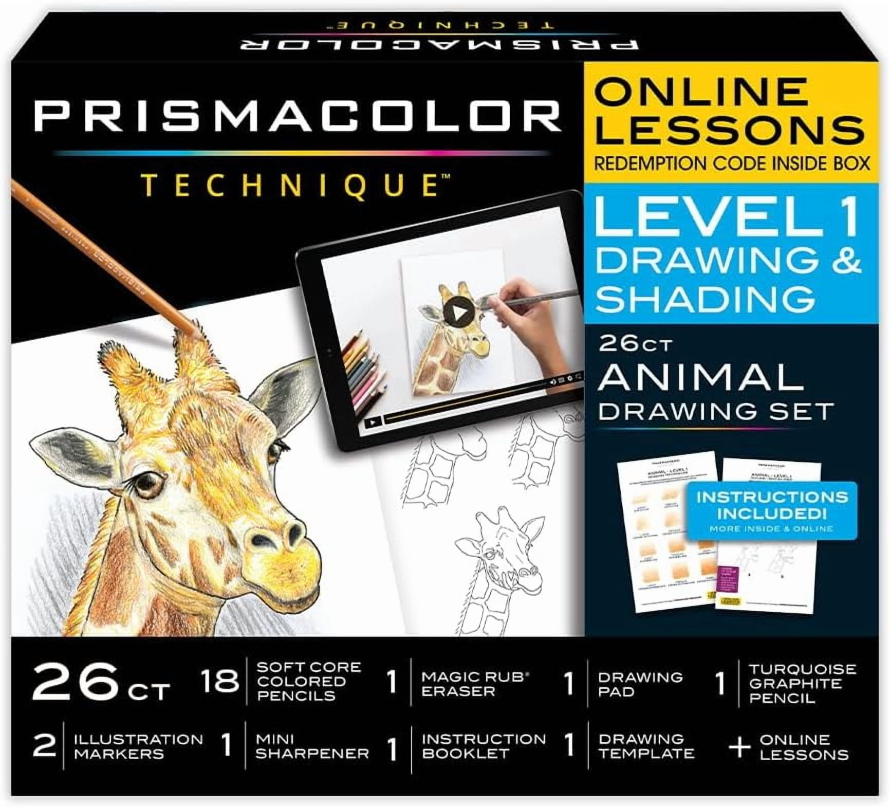 Technique Art Supplies with Digital Art Lessons Animal Drawings Set ...