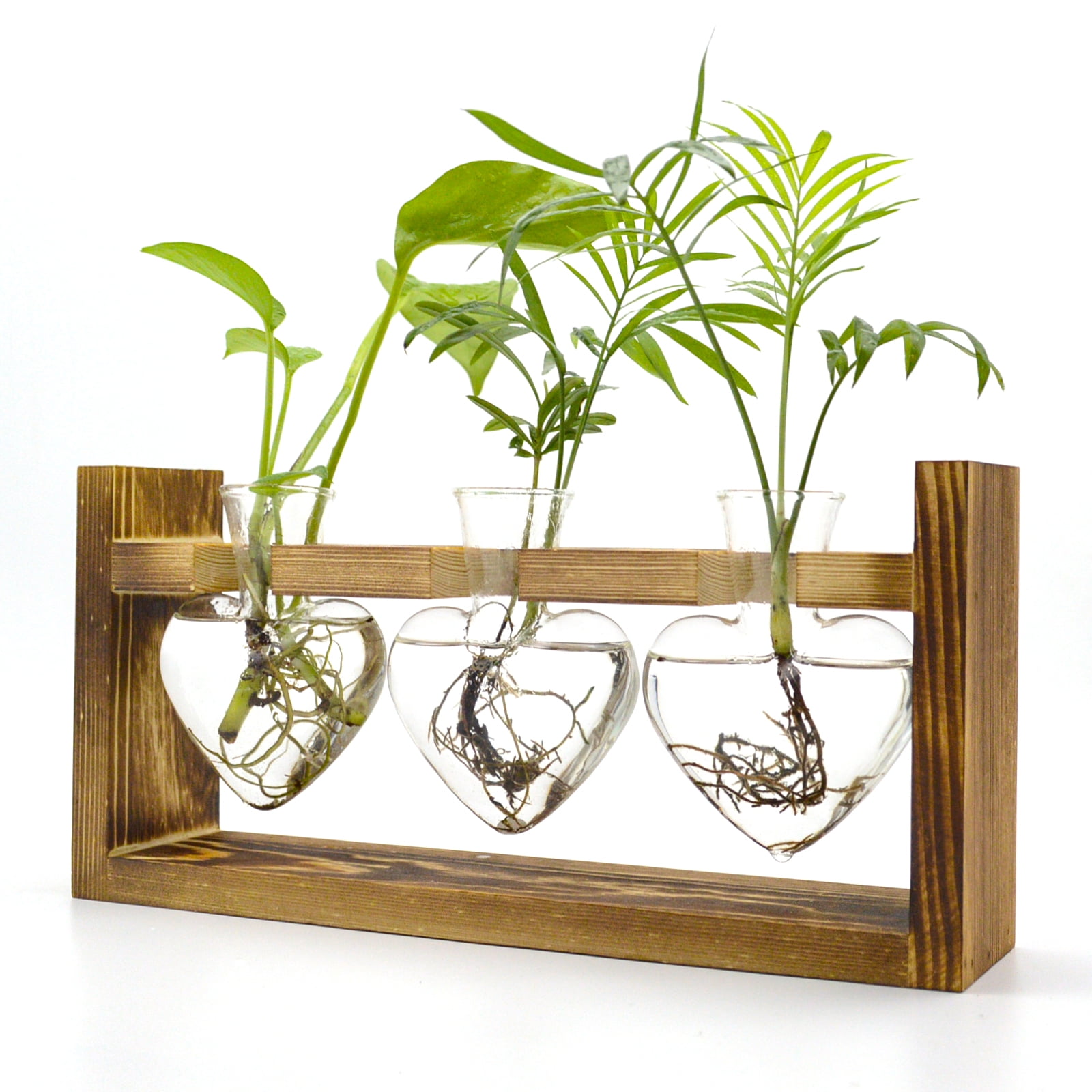Techshare Heart Glass Plant Terrariums with Wooden Stand (3 Count ...
