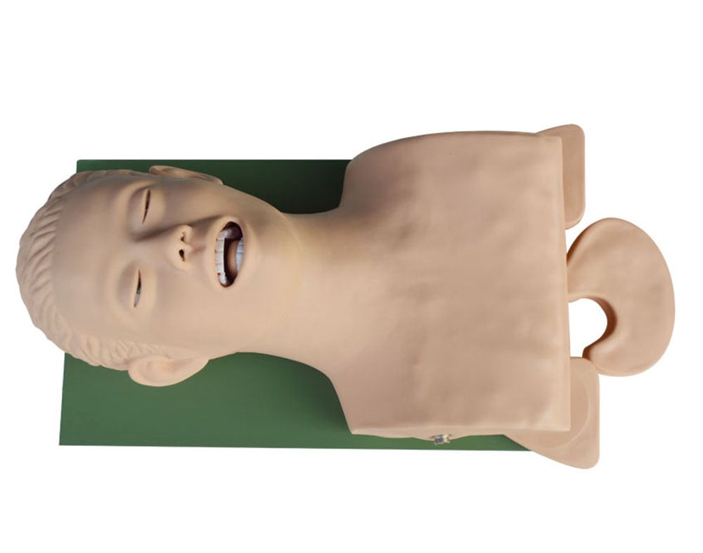 Techtongda Teaching Study Model Airway Management Trainer Intubation ...