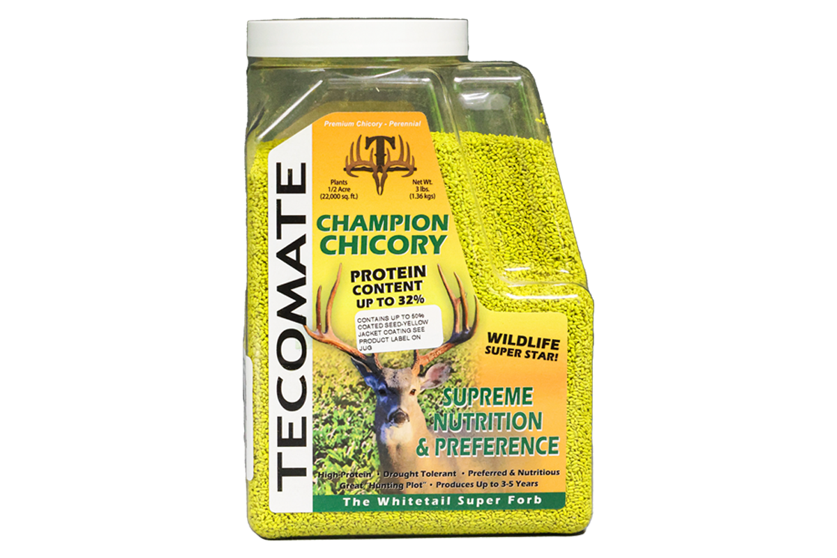Tecomate Champion Chicory - Walmart.com