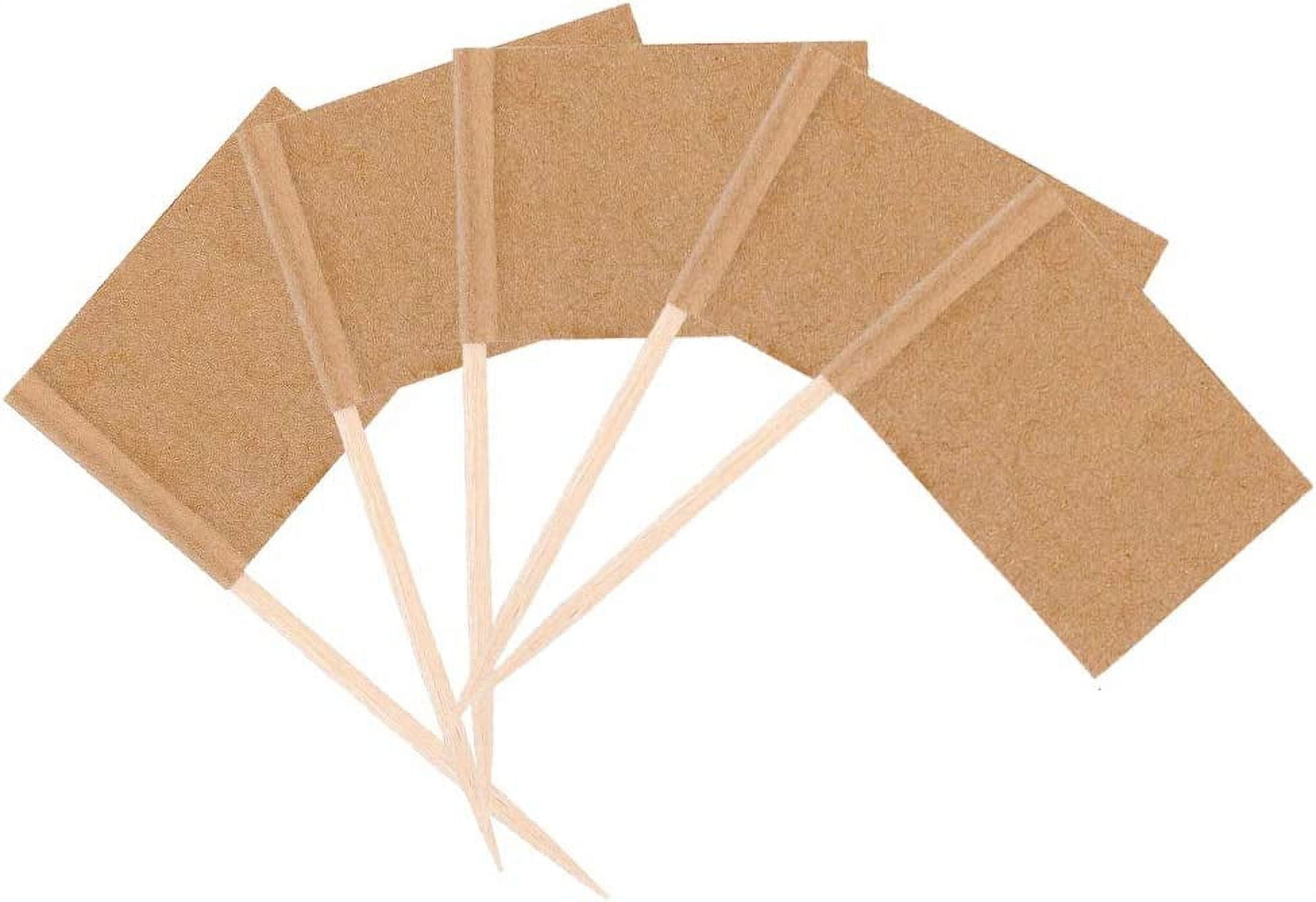 Tectsia 100Pcs Blank Toothpick Flags, Small Mini Stick Markers Flags ...