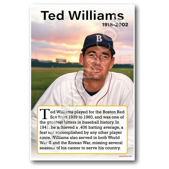 Ted Williams - Baseball Icon - Biography Poster 18 x 12 inch - Walmart.com