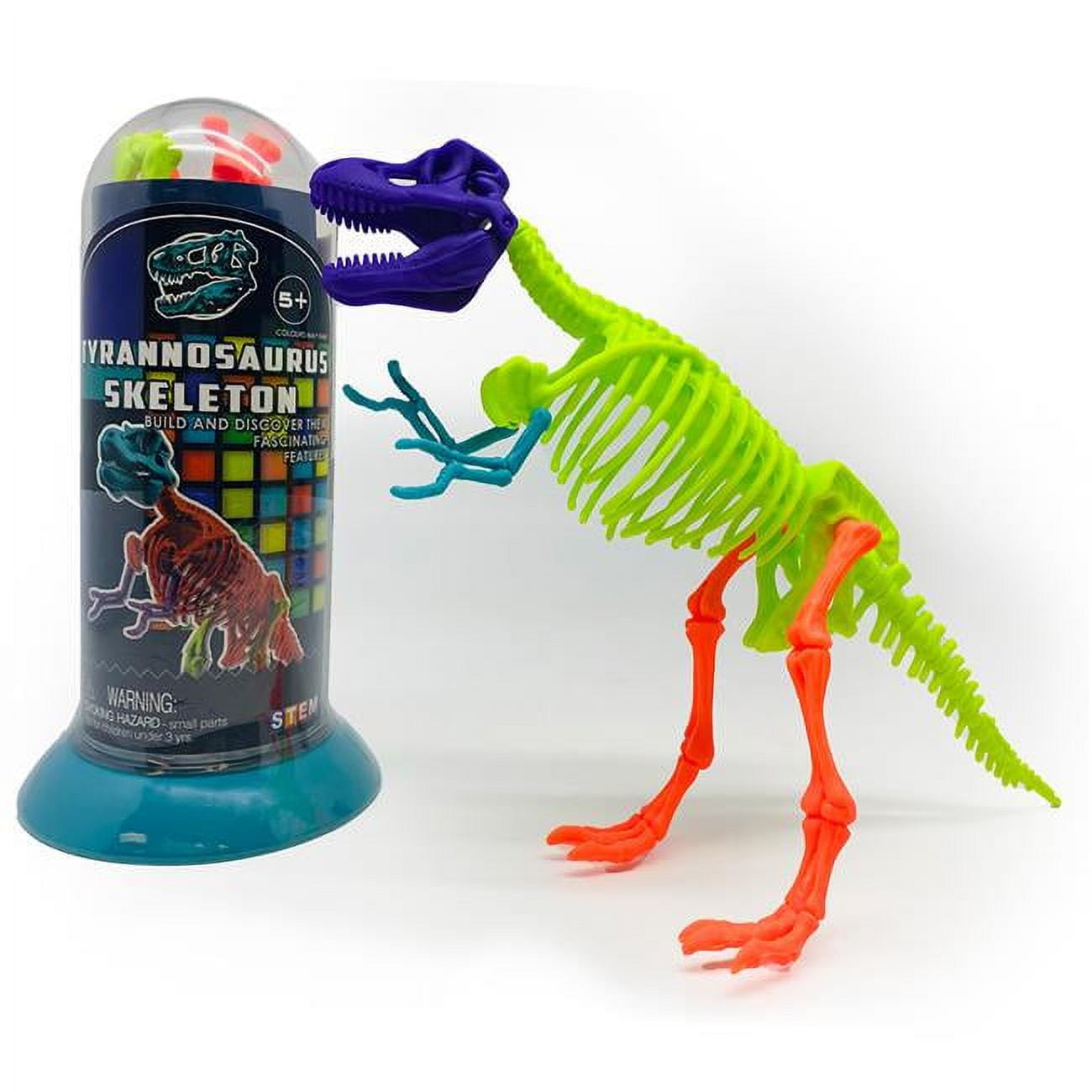 Tedco Toys 30134 T-Rex Skeleton Tube Puzzle - Walmart.com