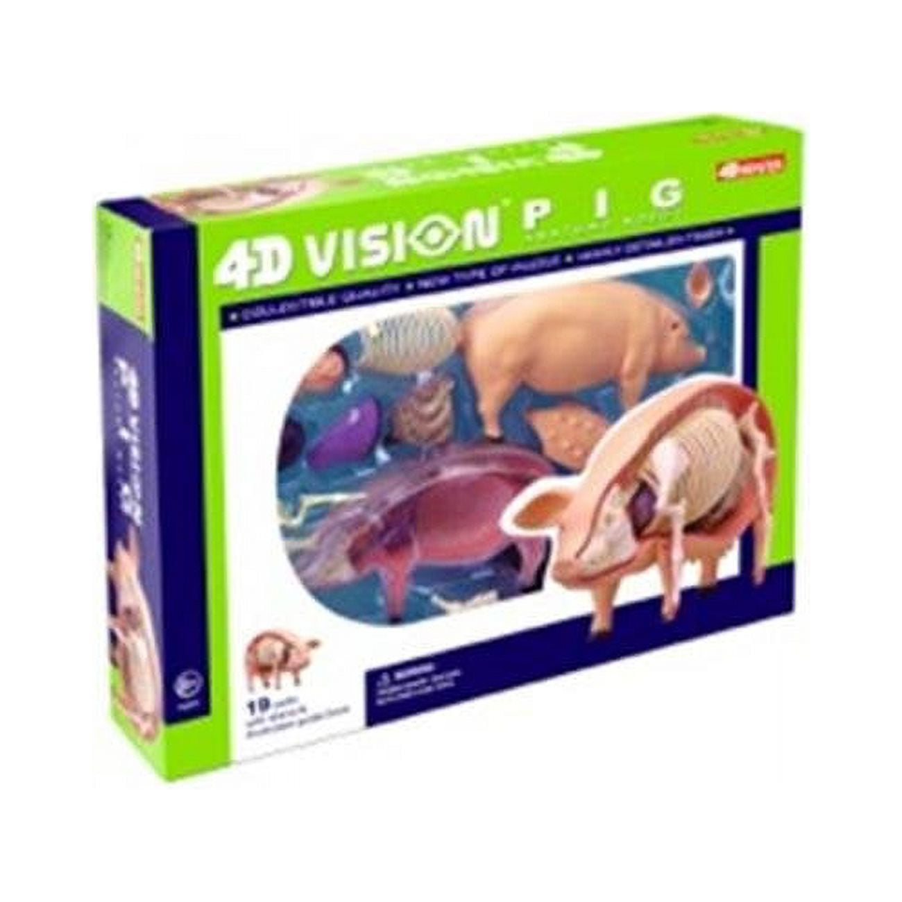 Tedco Toys 4D Vision Pig Anatomy Model - Walmart.com