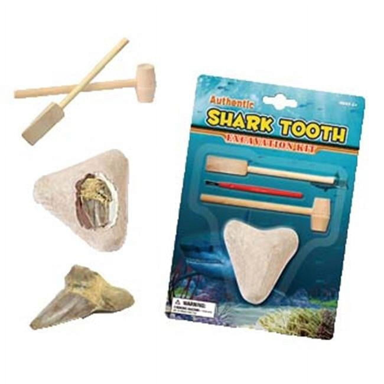 Tedco Toys Shark Teeth Dig Excavation Kit - Walmart.com