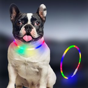 PcEoTllar LED Dog Collar, Waterproof Rechargeable for Night Walking RGB ...