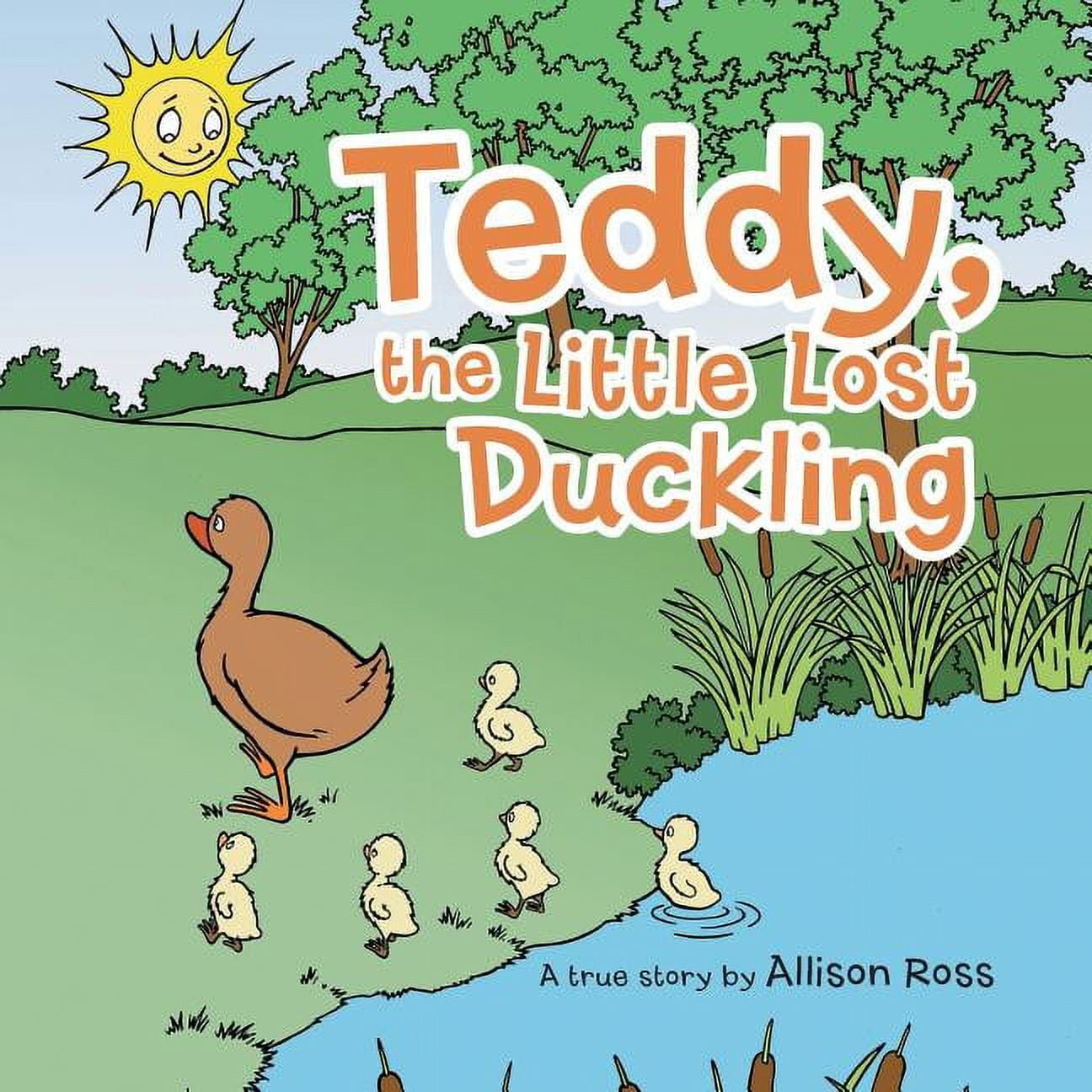 Teddy, the Little Lost Duckling - Walmart.com