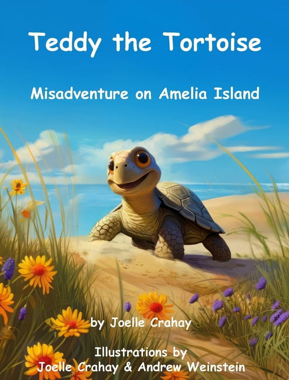 Teddy the Tortoise, Misadventure on Amelia Island (Hardcover) - Walmart.com