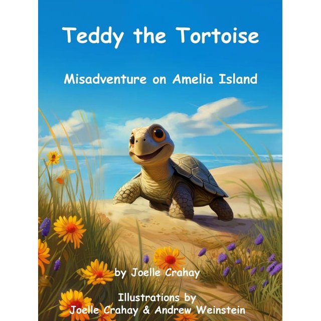 Teddy the Tortoise, Misadventure on Amelia Island (Hardcover) - Walmart.com