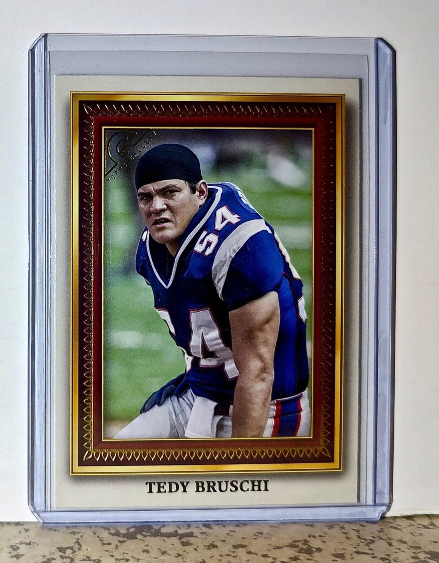 Collectible Tedy Bruschi 2023 Topps Gallery NFL #PG-22 Football Card ...