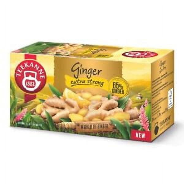 Teekanne GINGER Extra Strong tea- 20 tea bags- Made in Germany ...