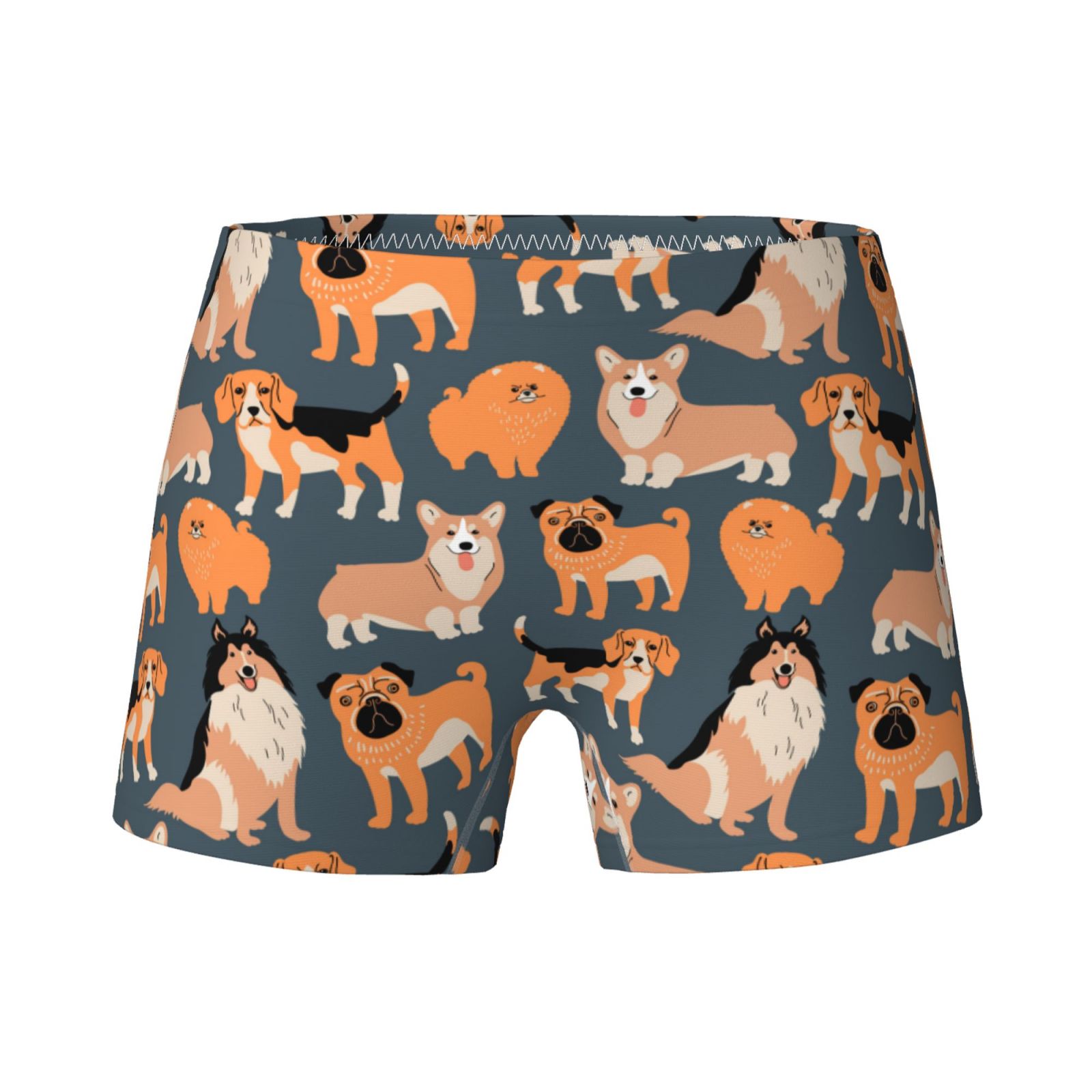 Teen Girls Underwear - Corgi Collie Pug Soft Cotton Boxer Briefs ...