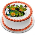 TMNT Birthday Cake Topper: Donatello, Michaelangelo, Leonardo, Raphael for Bakery Cupcakes ...