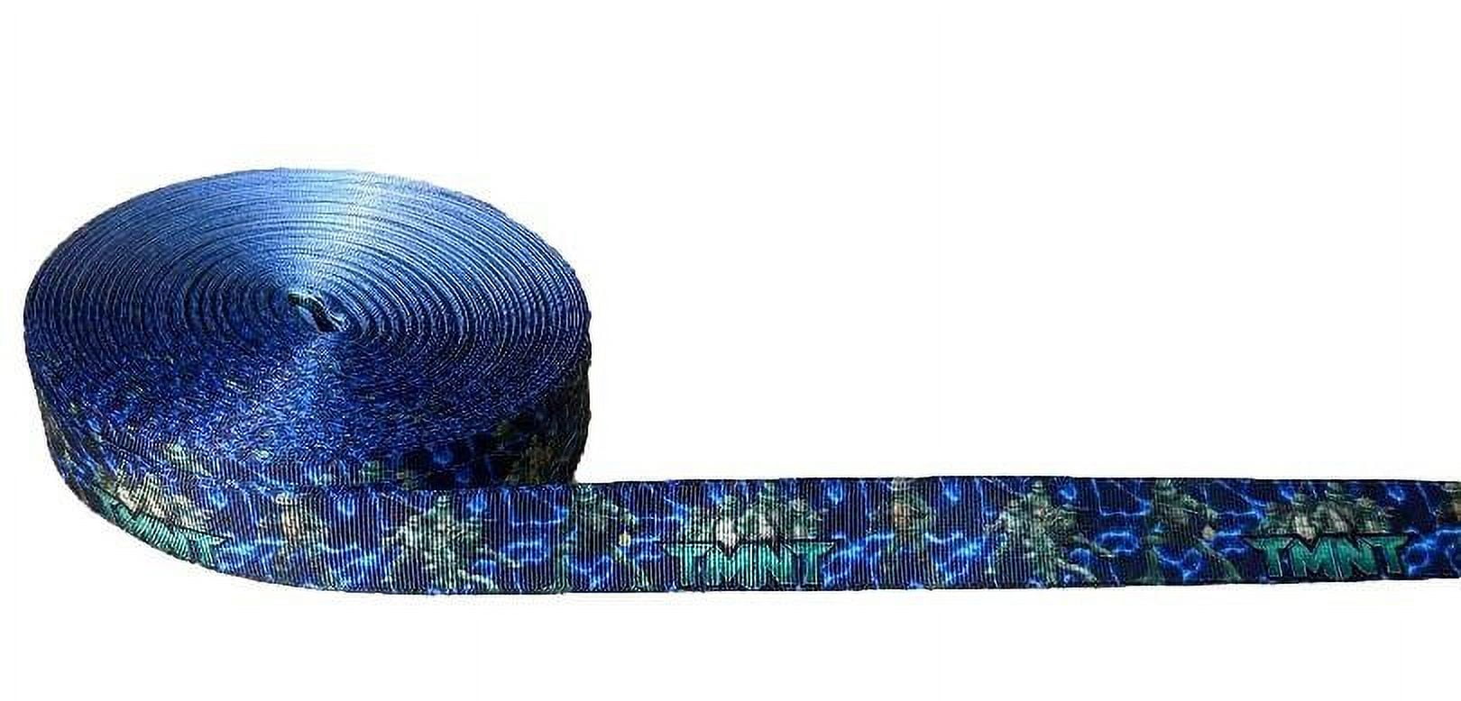 Teenage Mutant Ninja Turtles Group Blue Border 1" Wide 3 Yards Long ...