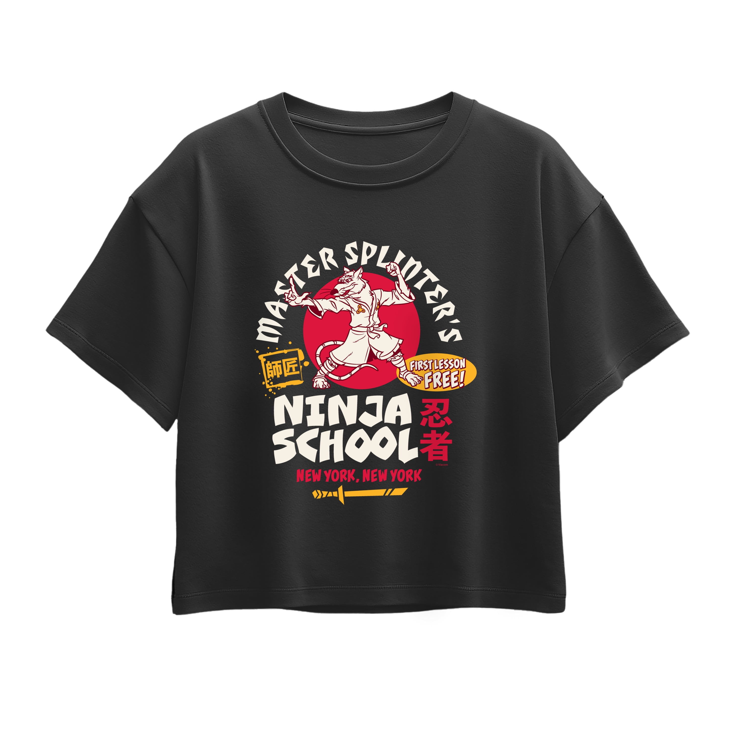 Teenage Mutant Ninja Turtles - Master Splinters Ninja School - Youth ...