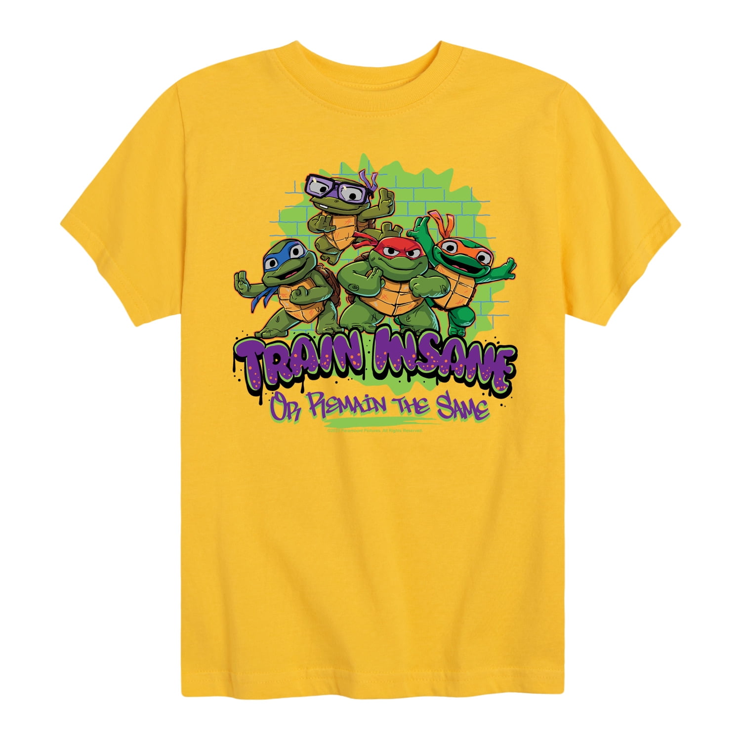 Teenage Mutant Ninja Turtles Mutant Mayhem - Train Insane - Toddler & Youth Short Sleeve Graphic ...