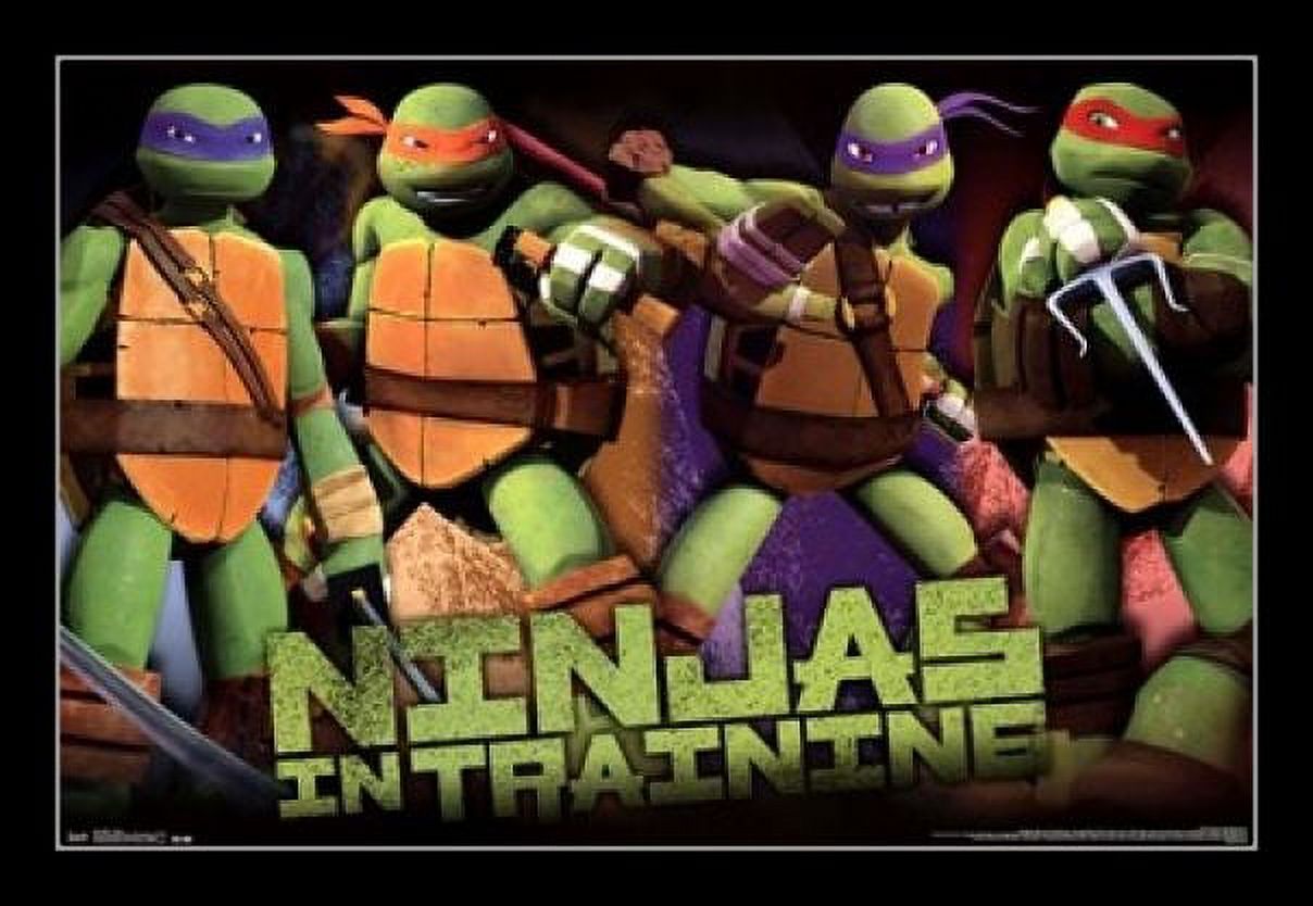 Teenage Mutant Ninja Turtles - Profile Laminated & Framed Poster Print ...