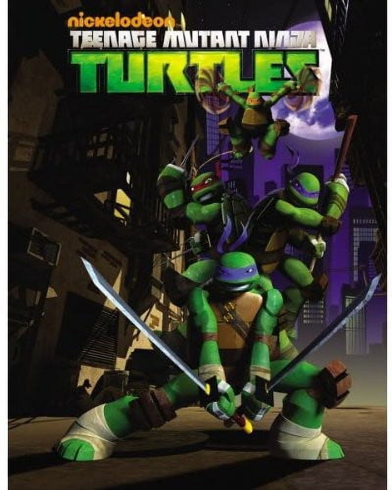 Teenage Mutant Ninja Turtles: Rise of the Turtles (DVD), Nickelodeon ...