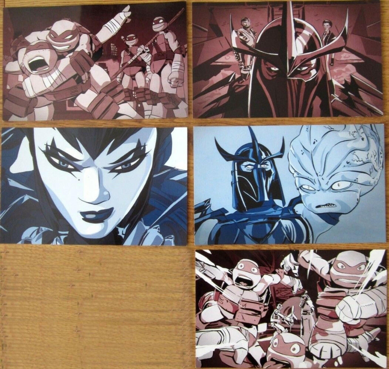 Teenage Mutant Ninja Turtles TMNT Fan Club 2013 Comic-Con 5x8 artwork ...