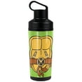 Teenage Mutant Ninja Turtles TMNT Official Mikey Shell 18 oz Insulated ...