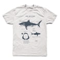 Teeso Great White Shark Anatomy T-Shirt – Hand-Drawn Biology Diagram ...