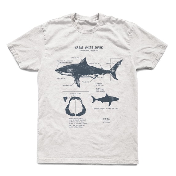 Teeso Great White Shark Anatomy T-Shirt – Hand-Drawn Biology Diagram ...