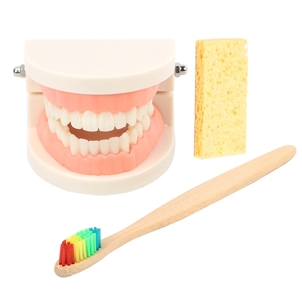 Teeth Brushing and Toiletry Set Early Childhood Education Montessori ...