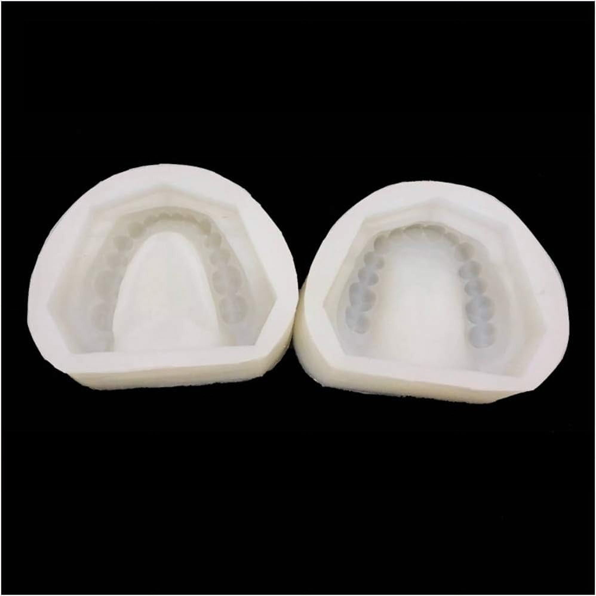 Teeth Model for Education - Standard Dented Silicone Female Mold ...
