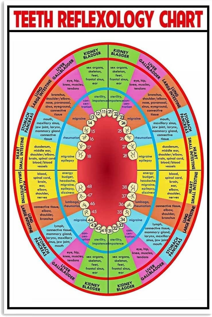 Teeth Reflexology Chart Knowledge Dentistry Educational Wall Art Metal ...